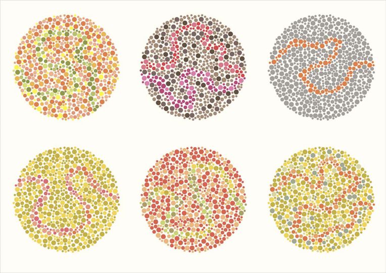 What Do Colorblind People See Simulation