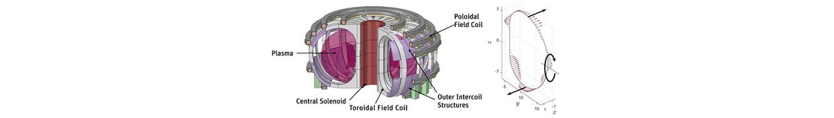 Designing Nuclear Fusion Reactors with Simulation | Ansys