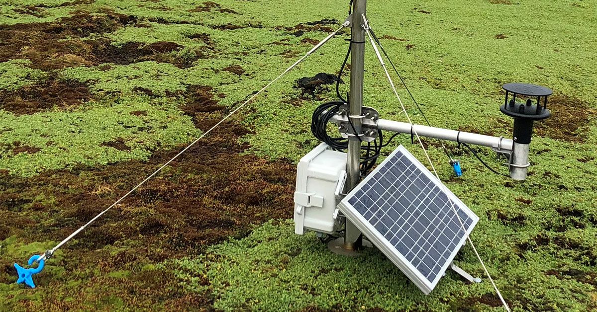 Bird’s-Eye View: Using Simulation to Understand Changing Wind Behaviors