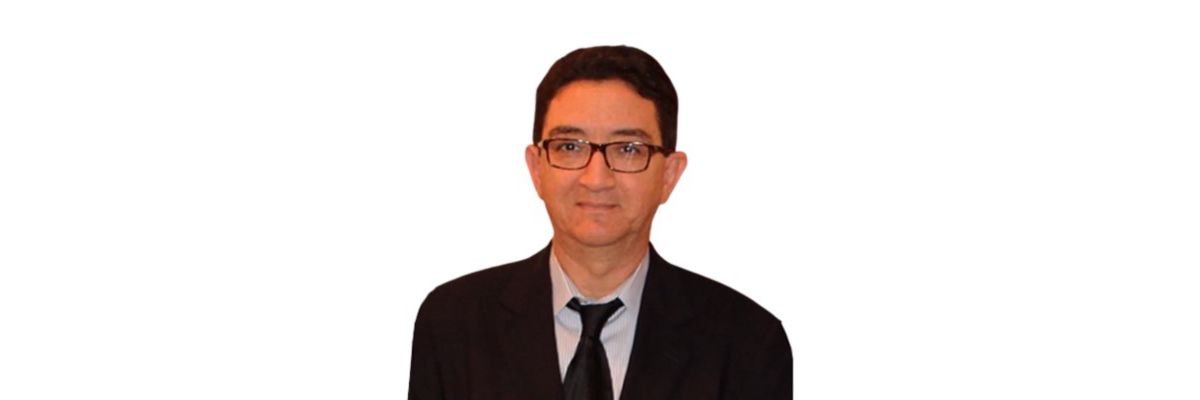 Samir Rida, Director of Gas Turbine and Meshing Product Management | Ansys