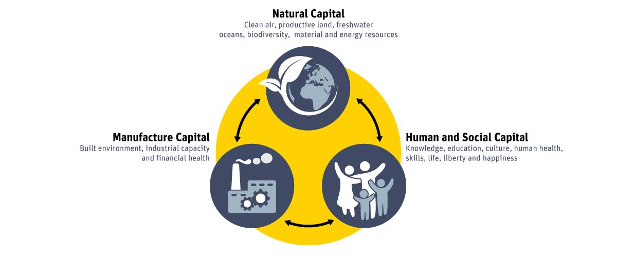 What is Social‒Life-Cycle Assessment? | Ansys